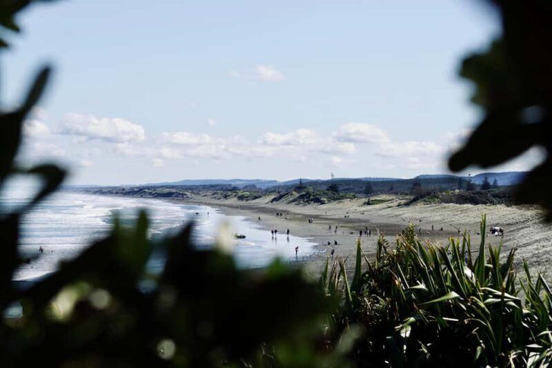 Auckland: Group Surfing Lesson with Muriwai Surf School - Final Thoughts: Is It Worth It?