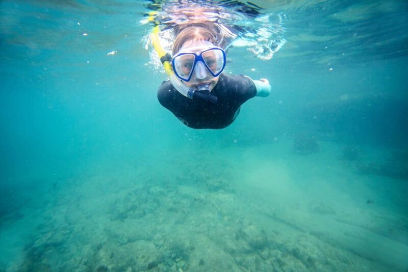 Auckland: Guided Snorkeling and Island Exploration Tours - An Adventure in the Hauraki Gulf
