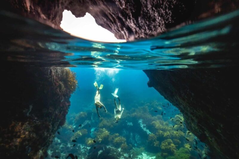 Auckland: Guided Snorkeling and Island Exploration Tours - The Eco-Walk and Conservation Insights