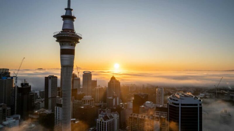 Auckland Half Day Attractions and Museums Tour - Deep Dive Into Each Stop