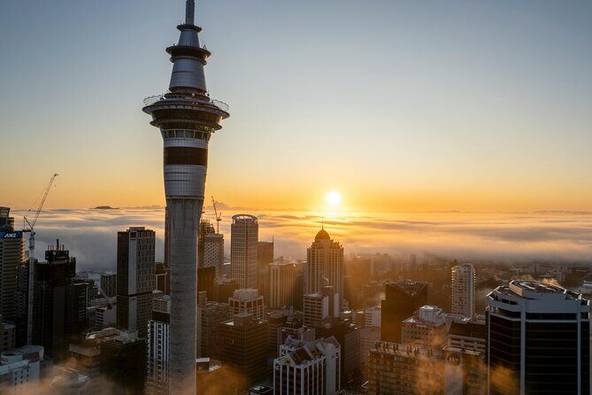 Auckland Half Day Attractions and Museums Tour - Key Points: