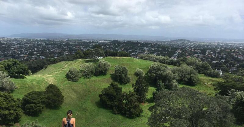 Auckland: Half-Day Auckland Volcanoes Tour - Who Should Consider This Tour?