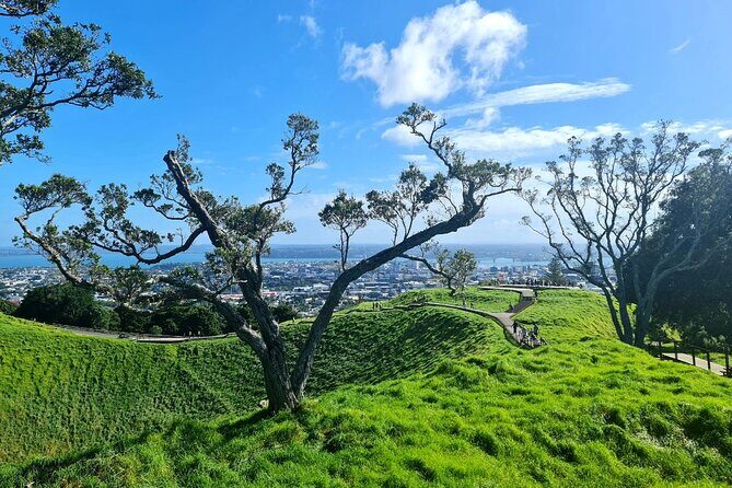 Auckland Half Day City Tour - Heart of Auckland - Value and Price Considerations