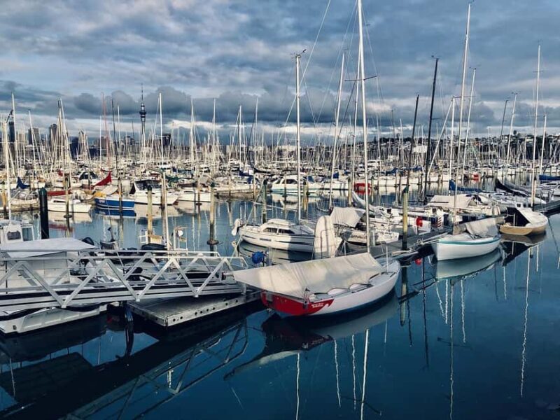 Auckland Half Day City Tour - Heart of Auckland - Auckland Half Day City Tour – Heart of Auckland: A Practical and Authentic Look