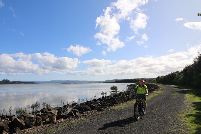 Auckland Half Day E-Bike Excursion - An In-Depth Look at the Auckland Half Day E-Bike Tour