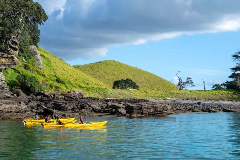 Auckland: Half-Day Sea Kayak Tour to Motukorea Island - An In-Depth Look at the Experience