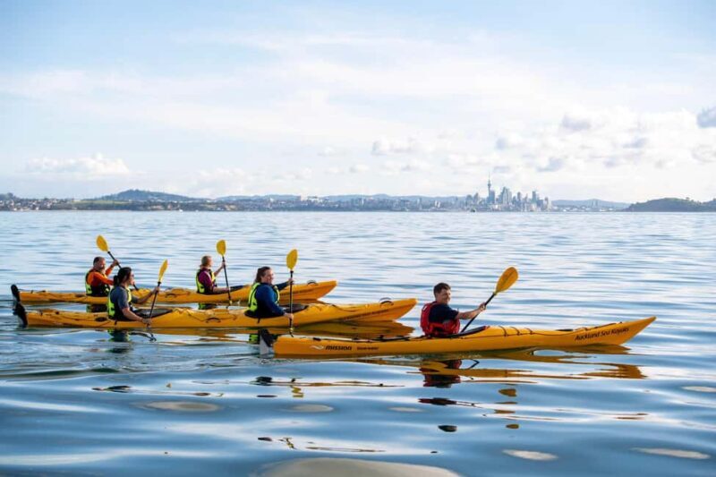 Auckland: Half-Day Sea Kayak Tour to Motukorea Island - Final Thoughts