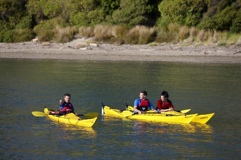 Auckland: Half-Day Sea Kayak Tour to Motukorea Island - FAQ