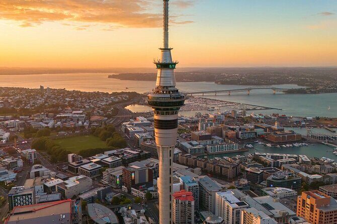 Auckland Half Day Tour Through Urban Wonders - The Itinerary in Detail