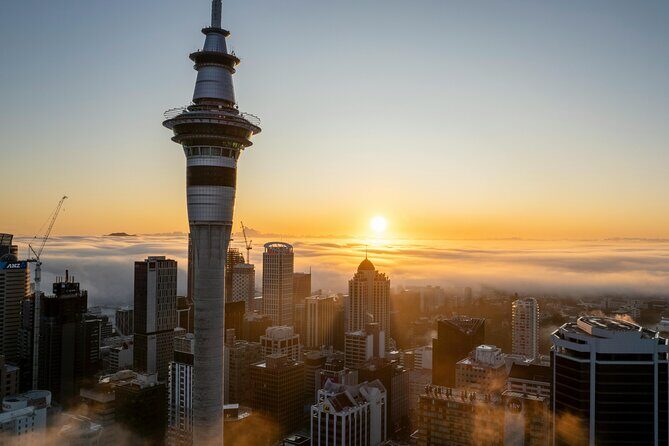 Auckland Half Day Tour Through Urban Wonders - Who Should Take This Tour?