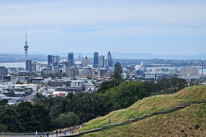 Auckland Halfday Private Guided Tour - Final Thoughts