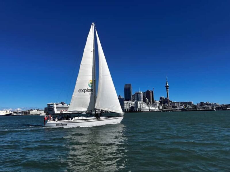 Auckland Harbour 1.5-Hour Sailing Cruise - A Detailed Look at the Experience