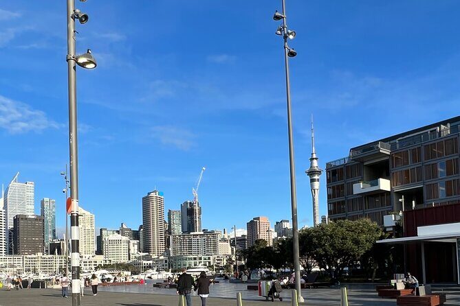 Auckland Harbour And Muriwai Black Sand Beach Private Tour - An In-Depth Look at What You’ll Experience