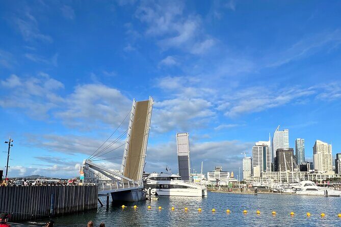 Auckland Harbour And Muriwai Black Sand Beach Private Tour - Who Would Enjoy This Tour?