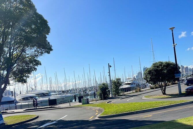 Auckland Harbour And Muriwai Black Sand Beach Private Tour - Final Thoughts