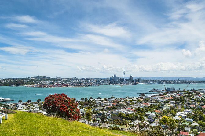 Auckland Harbour Cruise - Who Will Love This Tour?