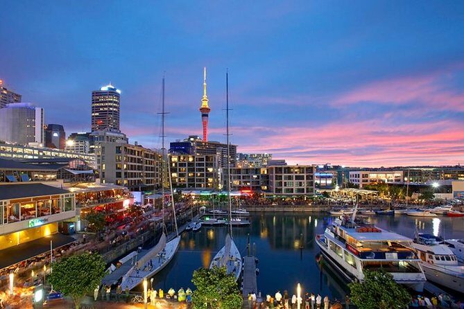 Auckland Highlight Fullday City Tour - An In-Depth Look at the Auckland Highlight Fullday City Tour