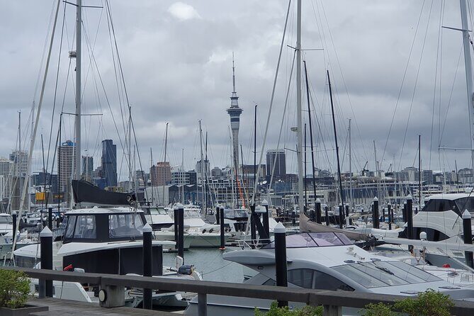 Auckland Highlights Full Day Guided Tour - What We Love About This Tour