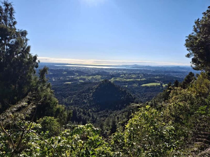 Auckland: Hiking West Auckland Rainforest & Waterfalls Tour - Introduction: What Makes This Tour Stand Out?