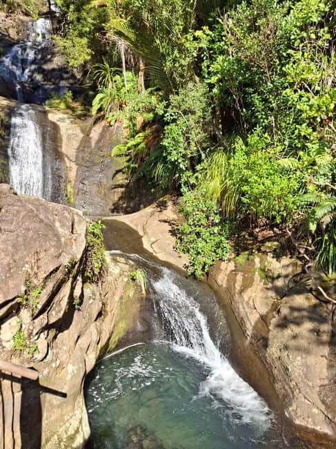 Auckland: Hiking West Auckland Rainforest & Waterfalls Tour - The Practical Side: Transportation, Price, and Group Size