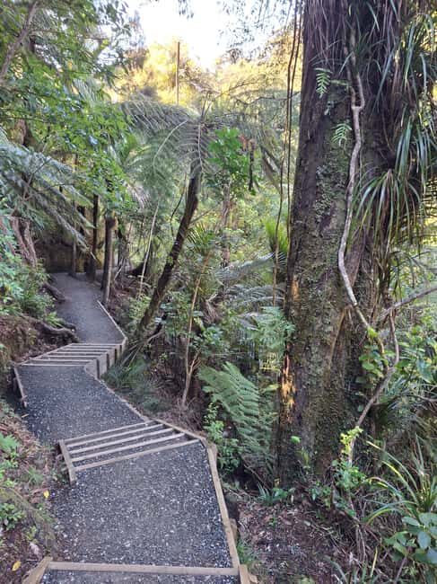 Auckland: Hiking West Auckland Rainforest & Waterfalls Tour - The Sum Up