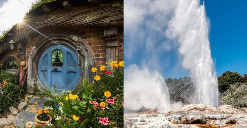 Auckland: Hobbiton and Rotorua Day Tour including Te Puia - Key Points