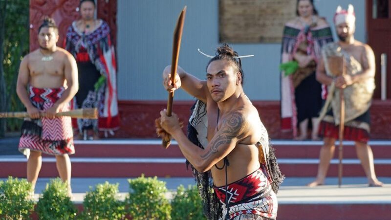 Auckland: Hobbiton and Rotorua Day Tour including Te Puia - Critical Viewpoints: Considerations