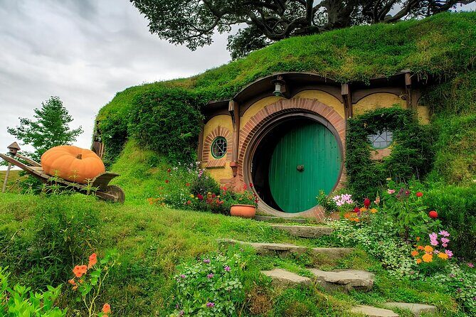 Auckland : Hobbiton & Te puia & red wood forest Private Tour - Final Thoughts: Is This Tour Right for You?