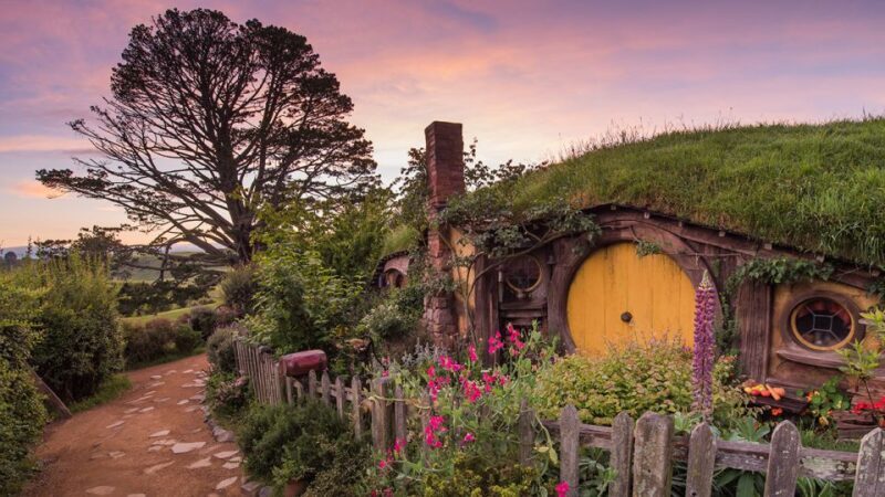 Auckland: Hobbiton & Waitomo Caves Small-Group Tour & Lunch - Transportation & Group Size: Why It Matters