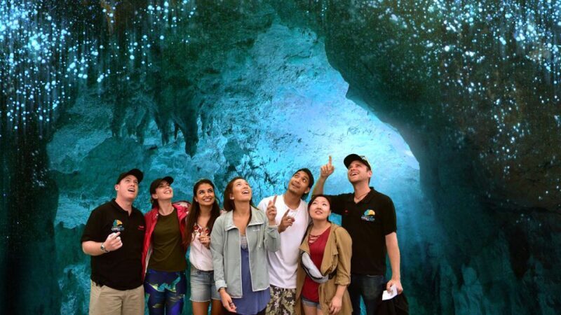 Auckland: Hobbiton & Waitomo Caves Small-Group Tour & Lunch - Pricing & Value
