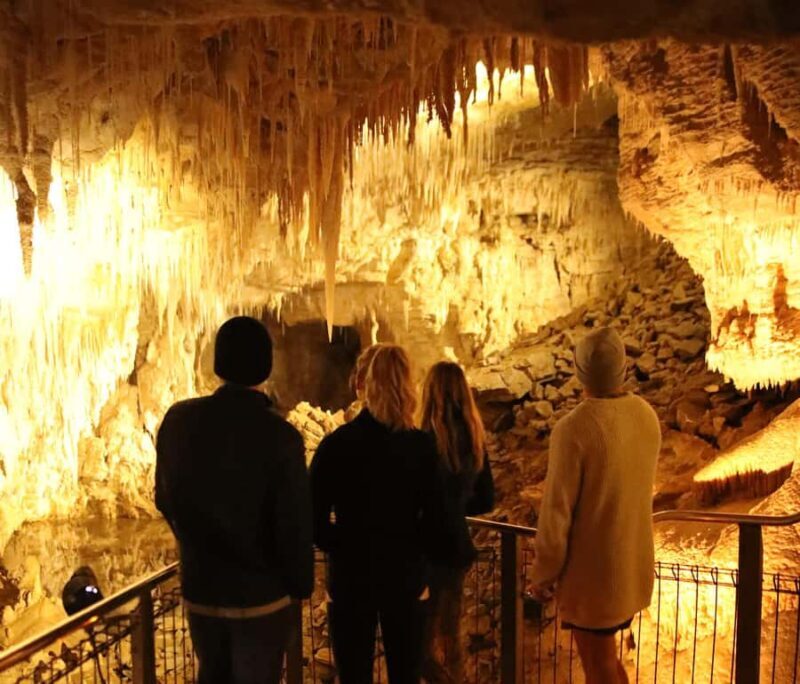 Auckland: Hobbiton & Waitomo Glow Worm Caves Private Tour - Return & Reflection
