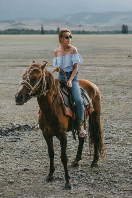 Auckland: Horseback Riding Through Vines with Wine & Dine - An In-Depth Look at the Experience