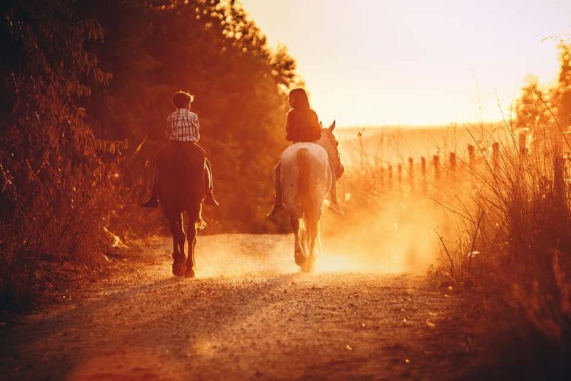 Auckland: Horseback Riding Through Vines with Wine & Dine - Who Should Consider It?