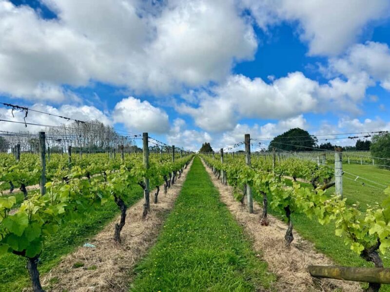 Auckland: Kumeu Wine Tasting Tour and Black Sand Beach - A Delicious Lunch amid the Vines