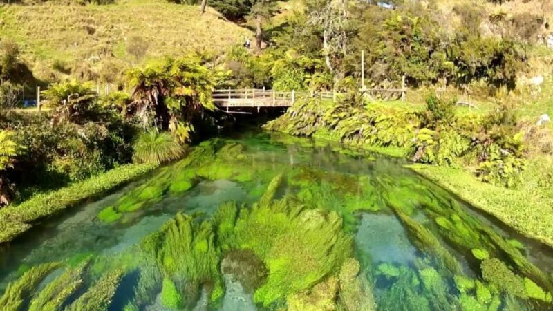 Auckland: LOTR, Hobbiton Movie Set & Hamurana Spring Tour - Nature and Water: Hamurana Spring and Blue Spring