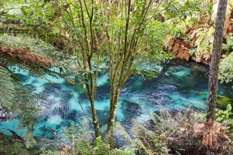 Auckland: LOTR, Hobbiton Movie Set & Hamurana Spring Tour - FAQ