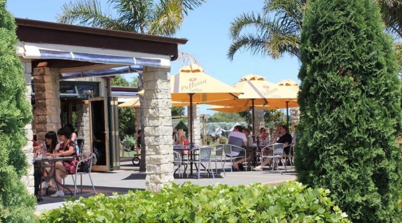 Auckland: Luxury Kumeu Wine Tour with Gourmet Lunch - Who Will Enjoy This Tour?