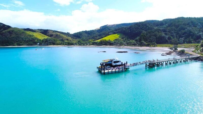 Auckland: Man O' War Vineyard Ferry (Waiheke Island) - What Makes This Tour Stand Out