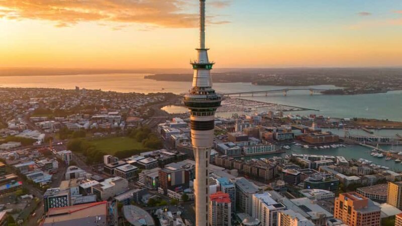 Auckland Museum and Highlight Sightseeing Tour - What to Keep in Mind