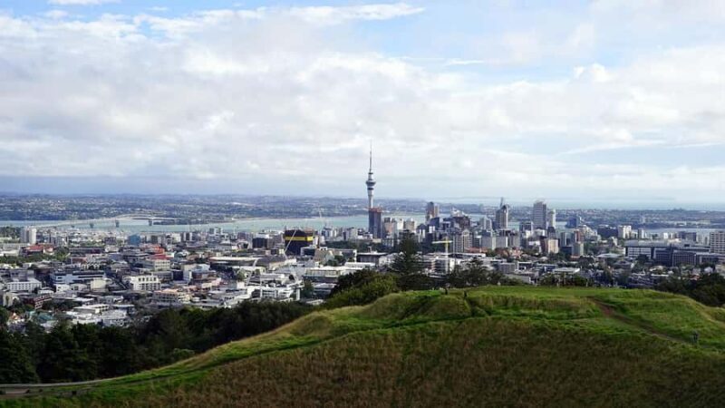 Auckland Museum and Highlight Sightseeing Tour - Authentic Feedback from Travelers