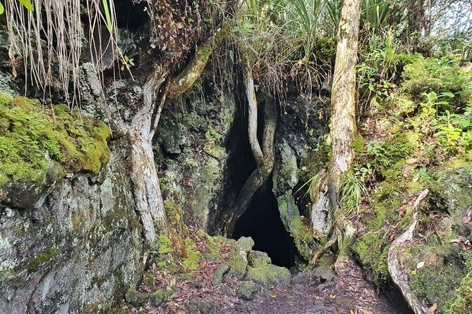 Auckland Natural Caves and Tunnels Private Tour - The Sum Up