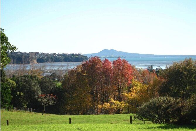 Auckland Nature Tour - Who Will Love This Tour?