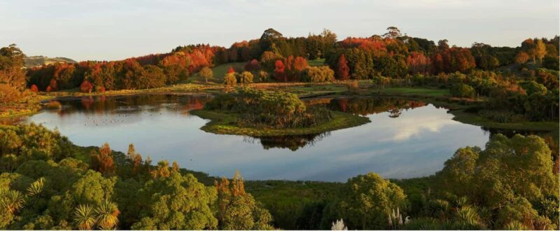 Auckland Nature Tour - Practical Details and Value