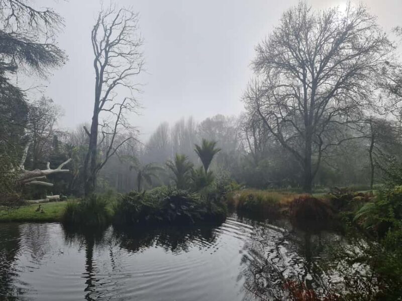 Auckland Nature Tour - Why Choose This Tour?
