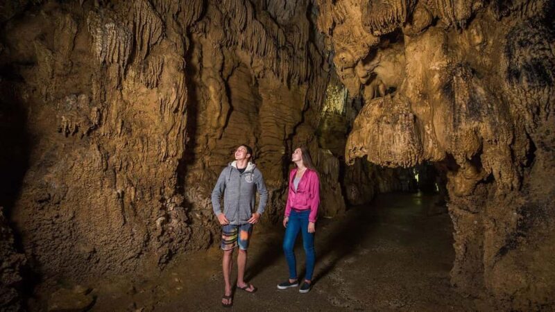 Auckland: One-Way Tour to Rotorua with Waitomo Caves - Key Points