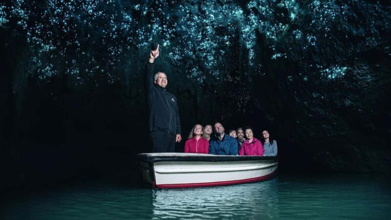 Auckland: One-Way Tour to Rotorua with Waitomo Caves - Convenient Door-to-Door Service and Small Group Size