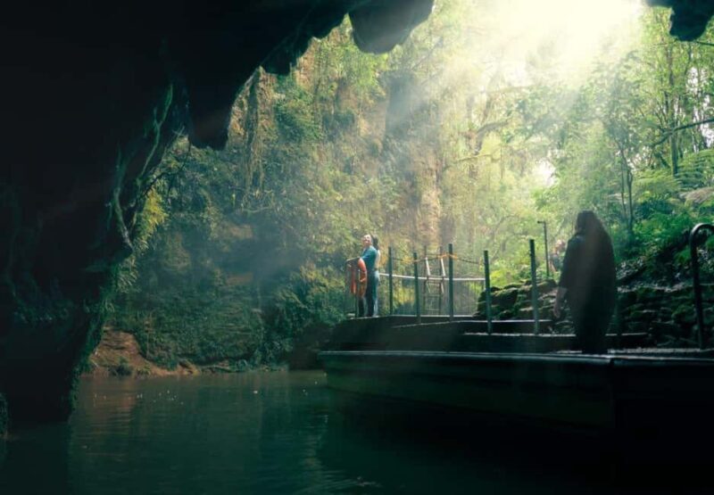 Auckland: One-Way Tour to Rotorua with Waitomo Caves - Waitomo Glowworm Caves: An Underground Marvel