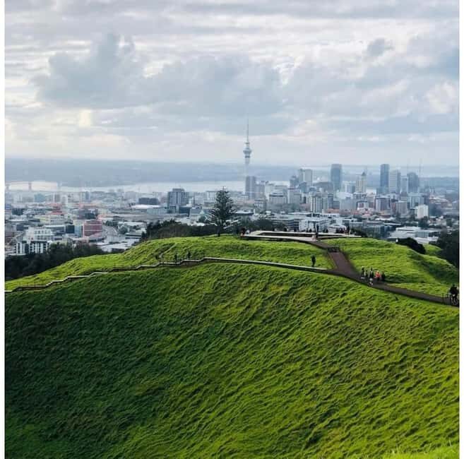 Auckland: Piha Beach, Rainforest, & Mount Eden Private Tour - Key Points
