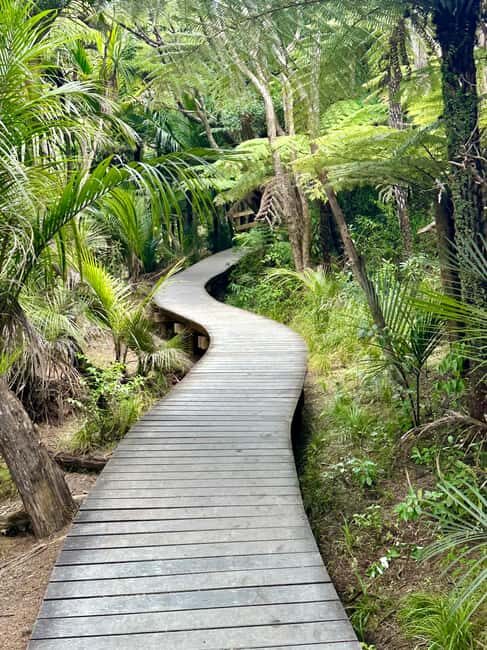 Auckland: Piha Beach, Rainforest, & Mount Eden Private Tour - How it Compares to Similar Experiences