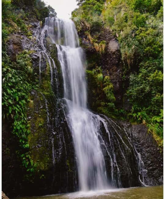 Auckland: Piha Beach, Rainforest, & Mount Eden Private Tour - FAQs